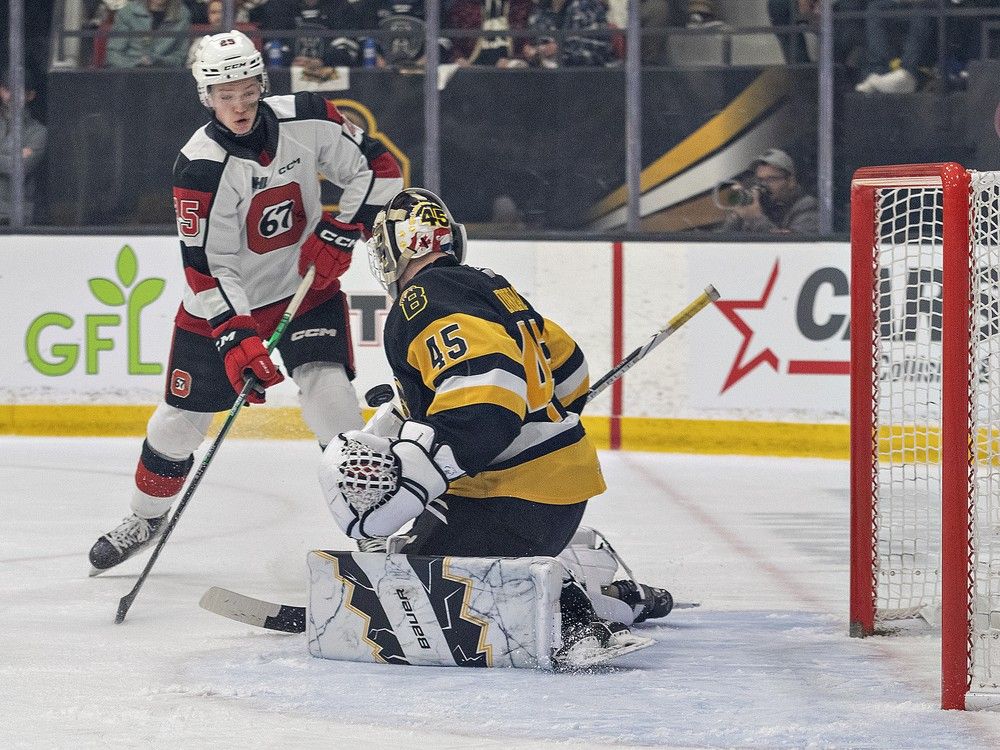 Bulldogs not 'sharp enough' in Game 2 loss to 67's | Brantford Expositor