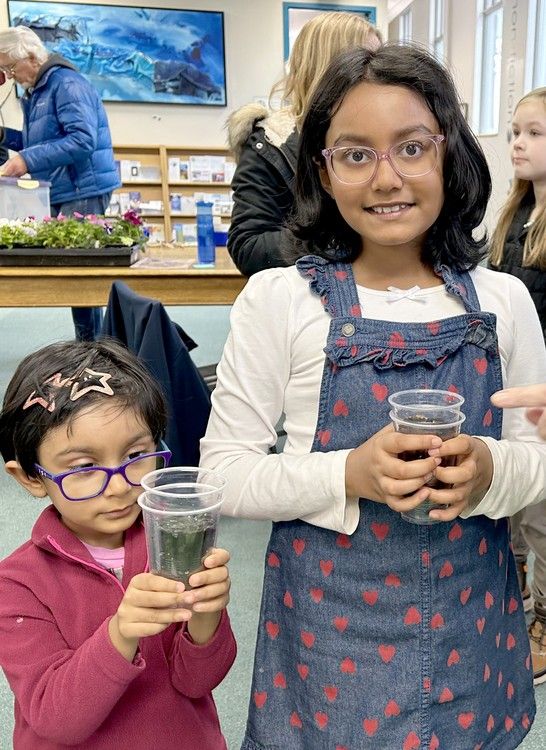 Seedy Saturday proves a fertile event | Brockville Recorder & Times