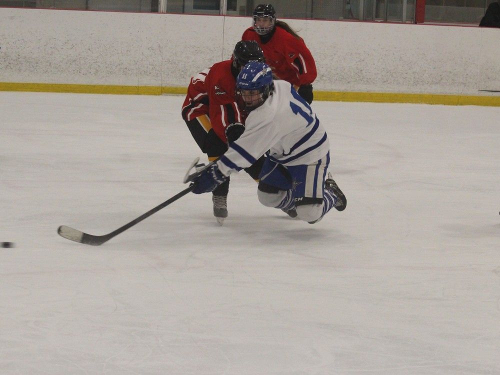 La Citadelle (Cornwall) Patriotes at EOSSAA, March 4, 2024 | Cornwall ...