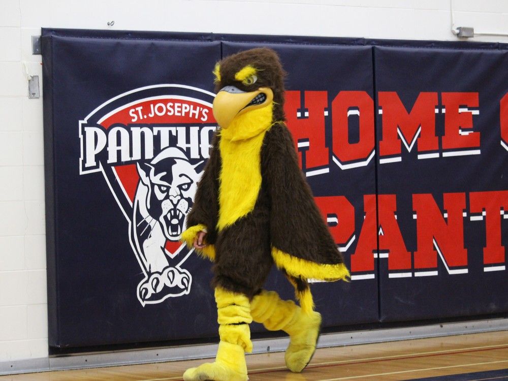 HoopFest a slam-dunk success as Falcons battle Panthers in Cornwall ...