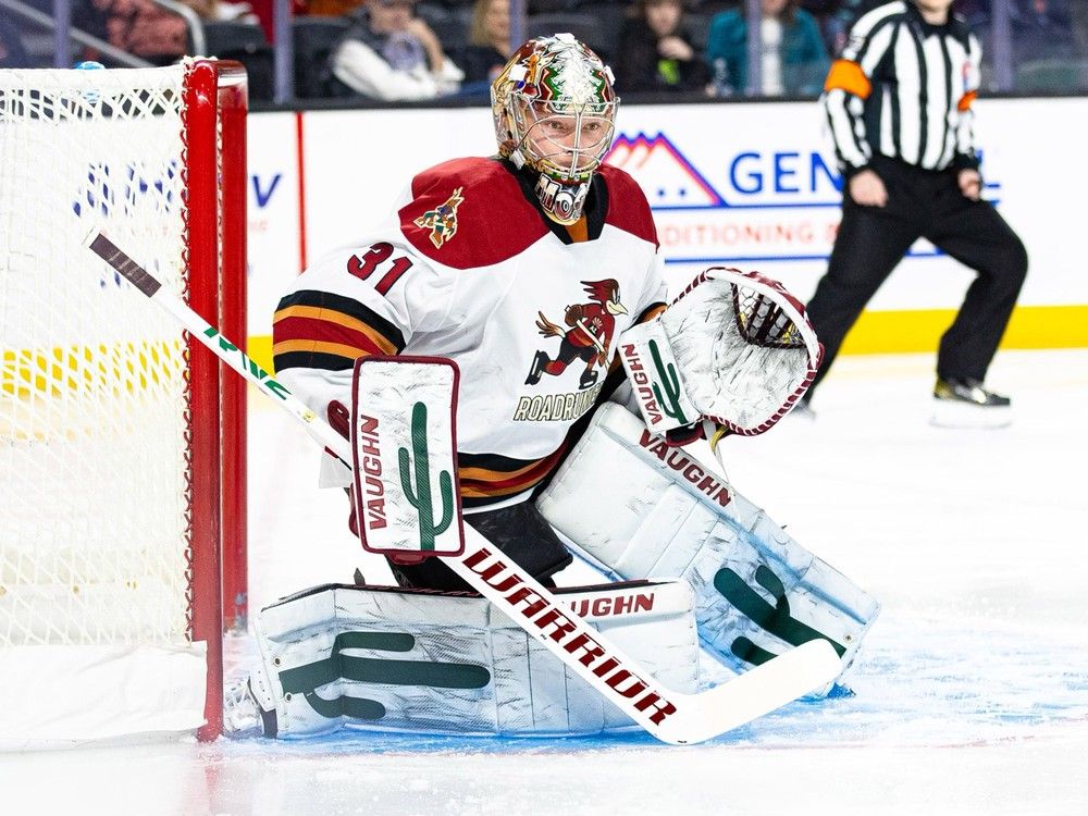 Disciple of determination, goalie Villalta's end goal is NHL career ...