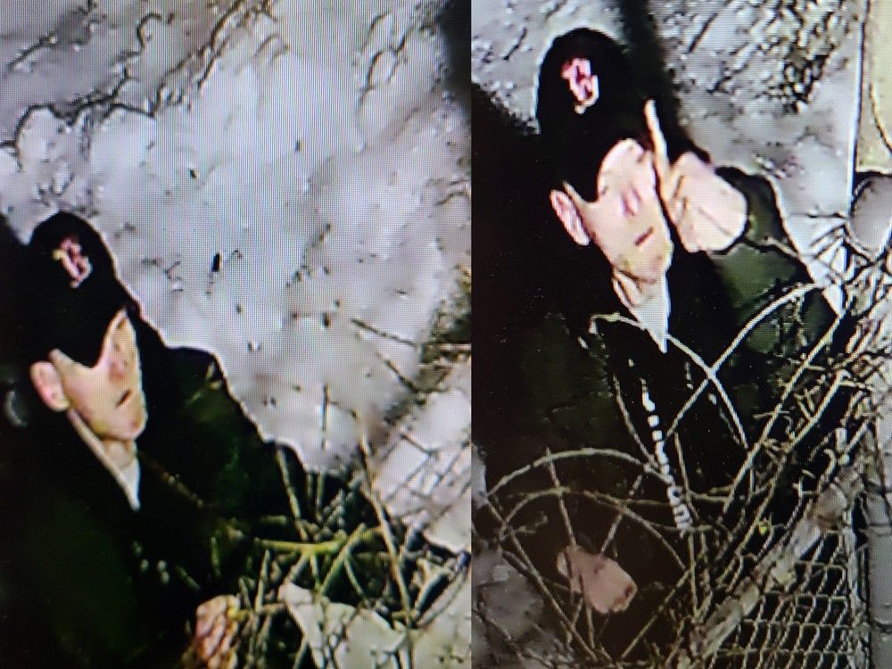 Kingston Police seek person who tried to break into a business ...