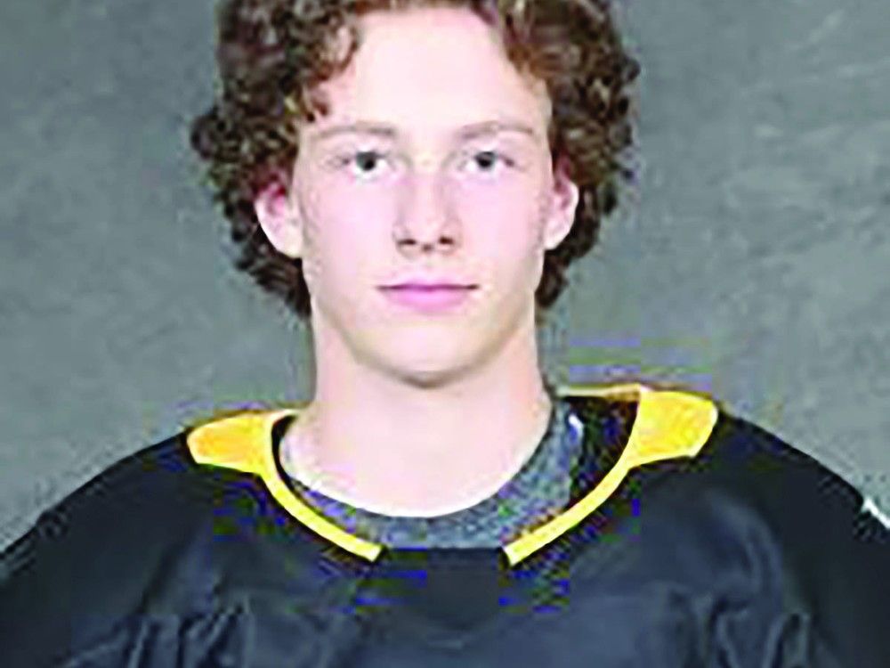 Home | Sault This Week