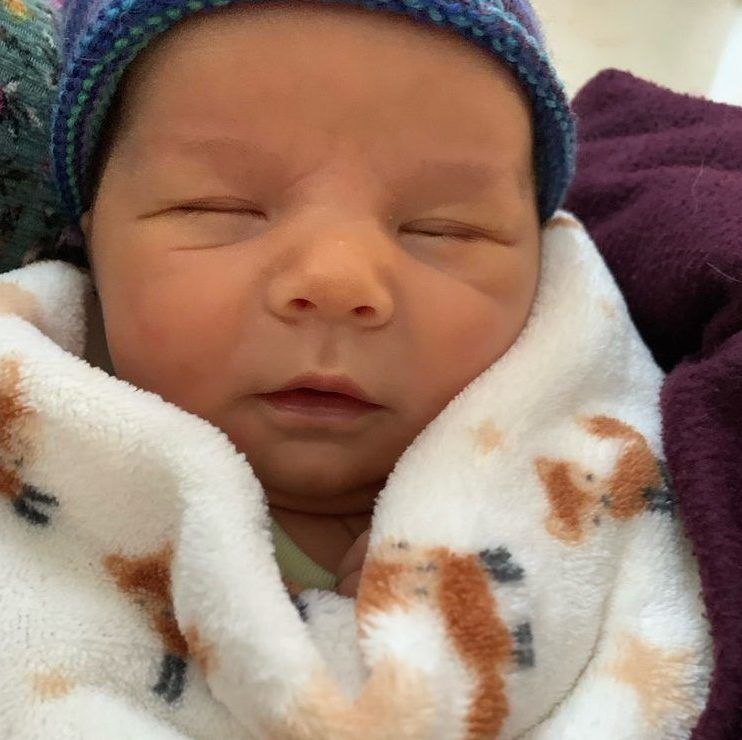 Meet Greater Sudburys Newest Additions Sudbury Star