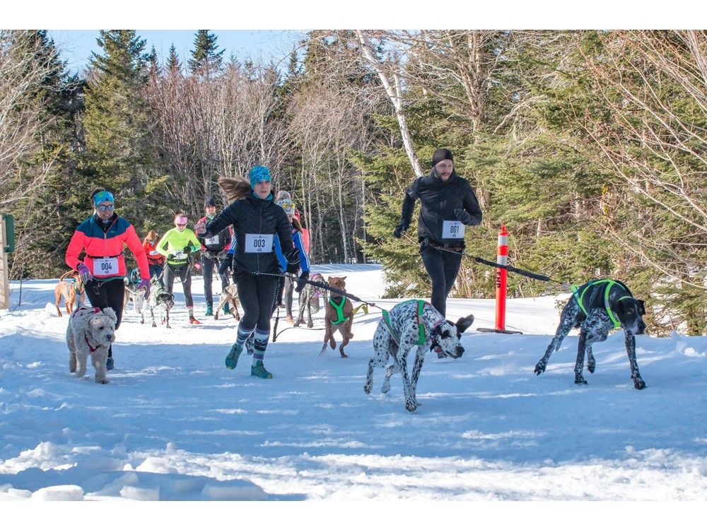 Mapleton Park trails closed Saturday for Dog Runners event | Telegraph ...
