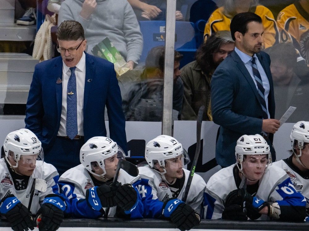 UNB coach to lead Team Canada behind the bench at worlds | Telegraph ...