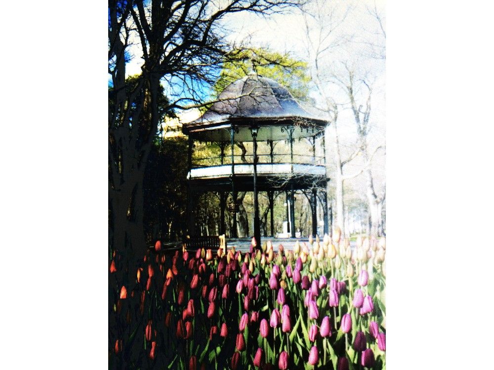 David Goss: Looking back for springing ahead | Telegraph-Journal