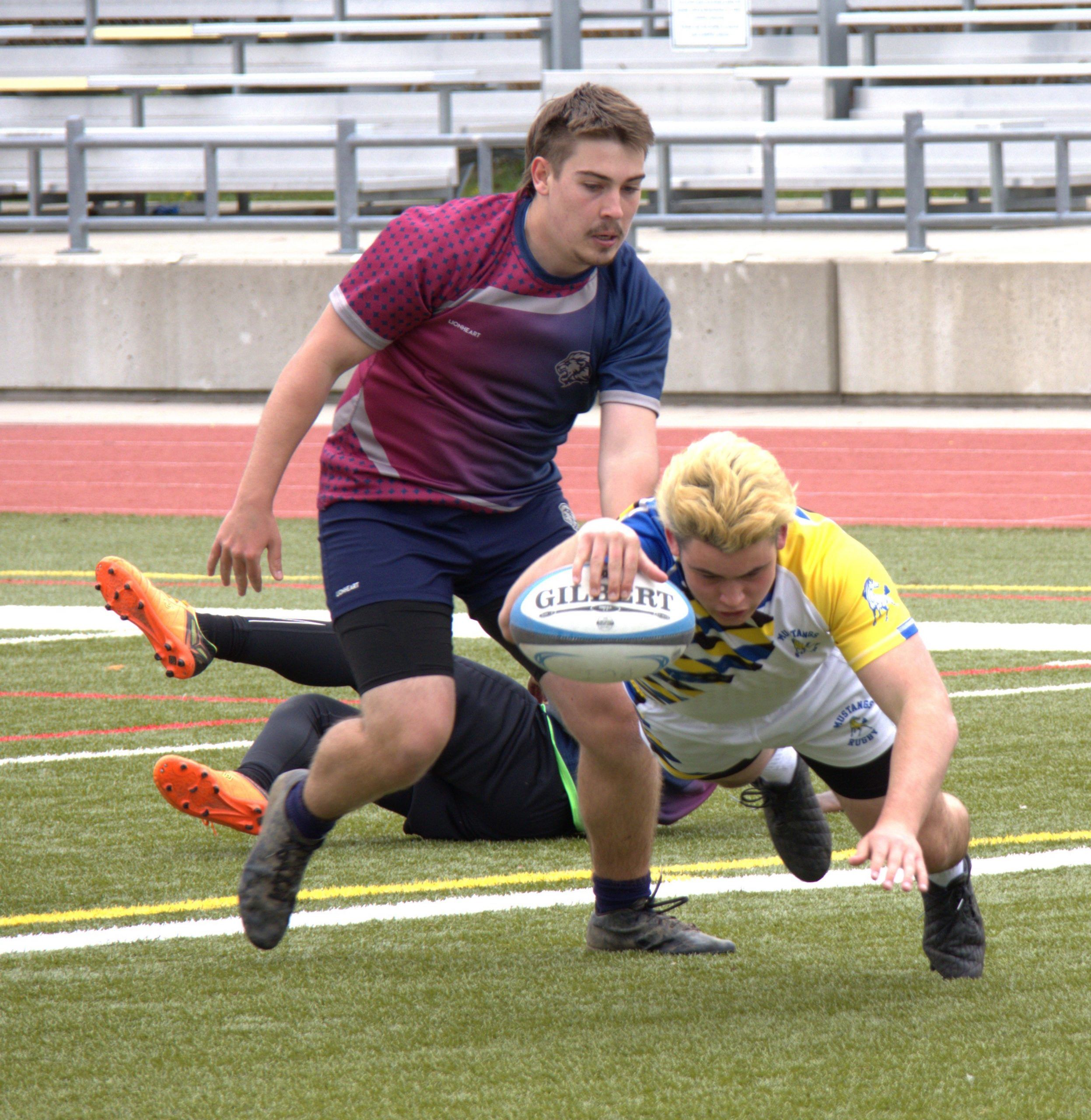 Mustangs open senior boys rugby season with convincing win | Brantford ...