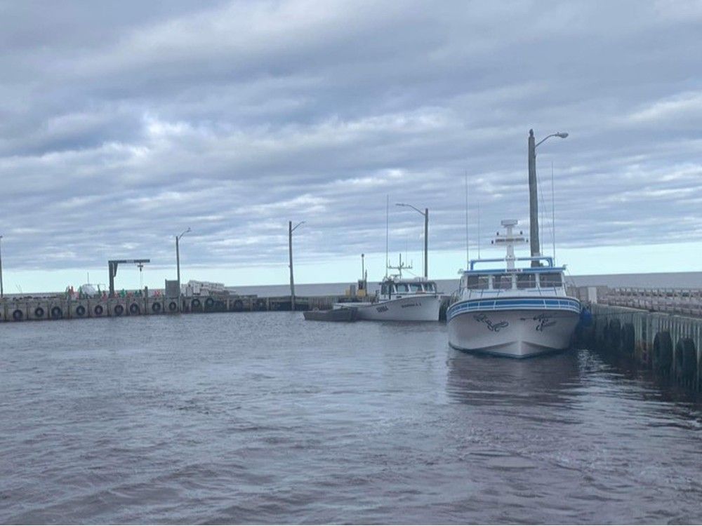 Feds say they’re spending nearly half a billion on small harbours ...