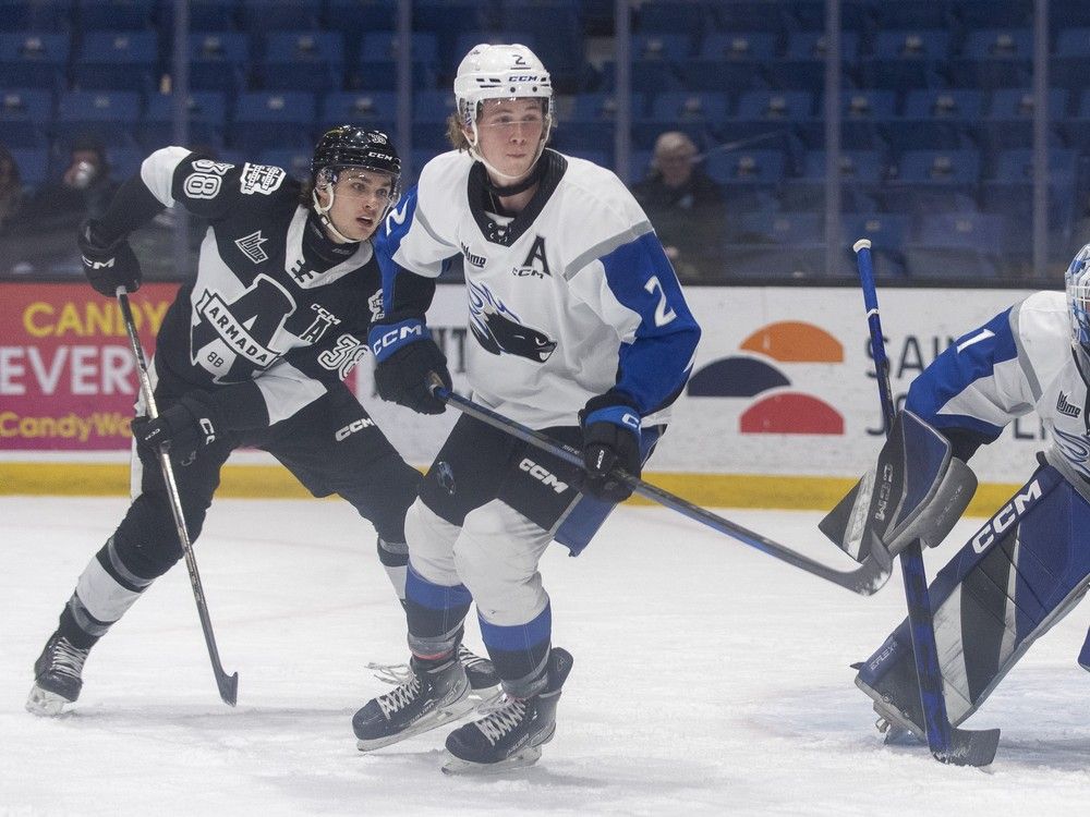 Sea Dogs to pick No. 5 and No. 8 at QMJHL draft in June | Telegraph-Journal