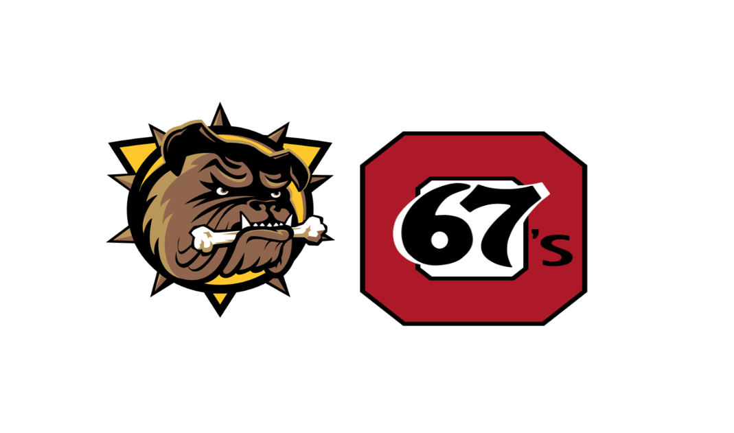 Bulldogs eliminated by 67's | Brantford Expositor