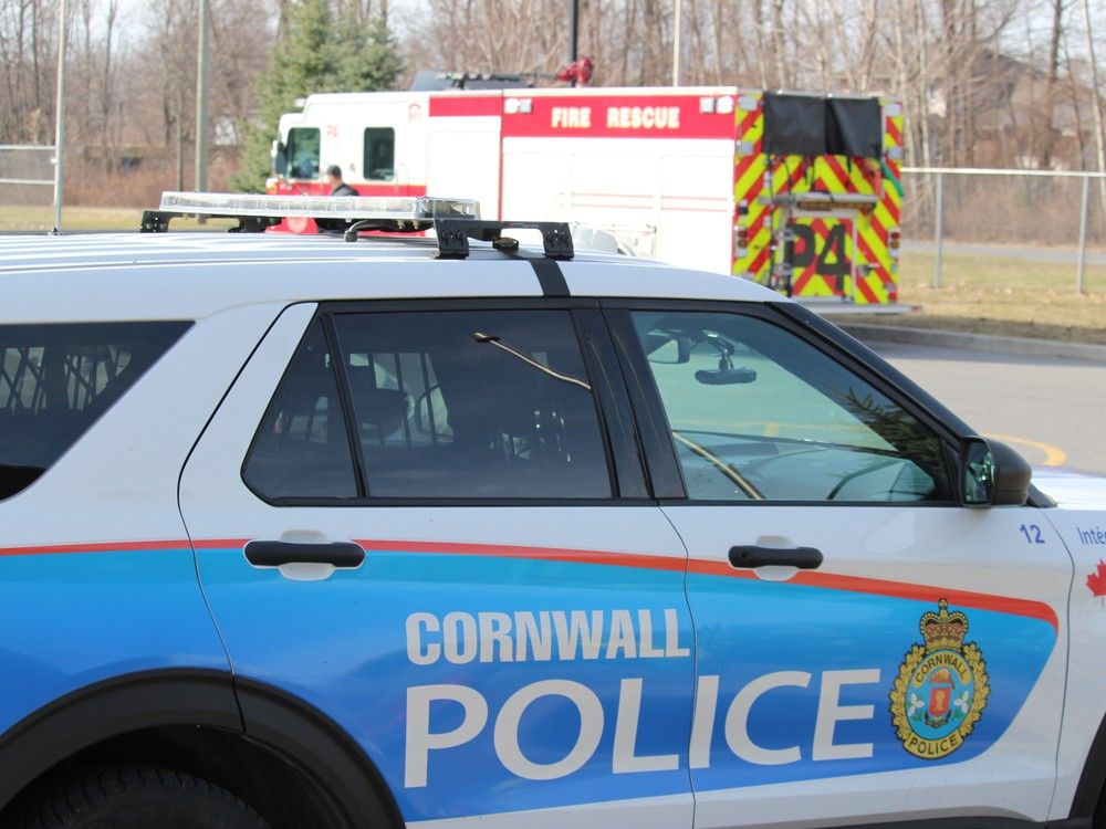 Domestic Assault charges, and a reminder on vehicle safety from CPS ...