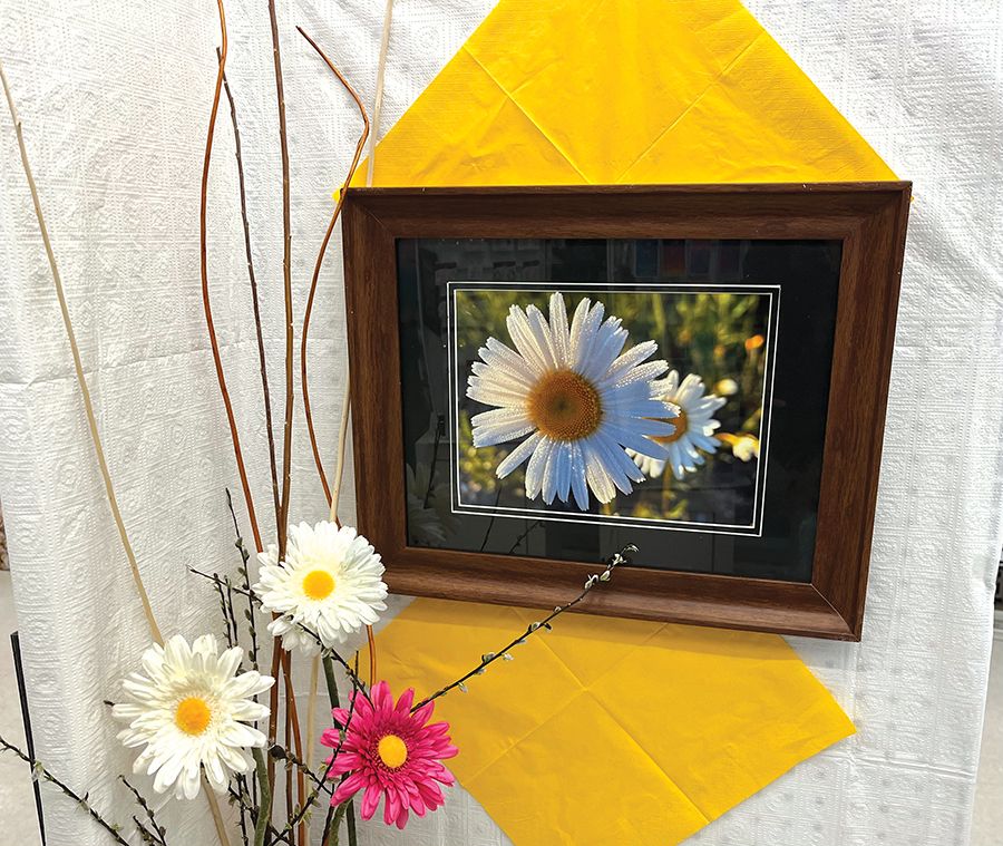 Remedy’s RX gets creative to raise funds for Community Living Espanola ...