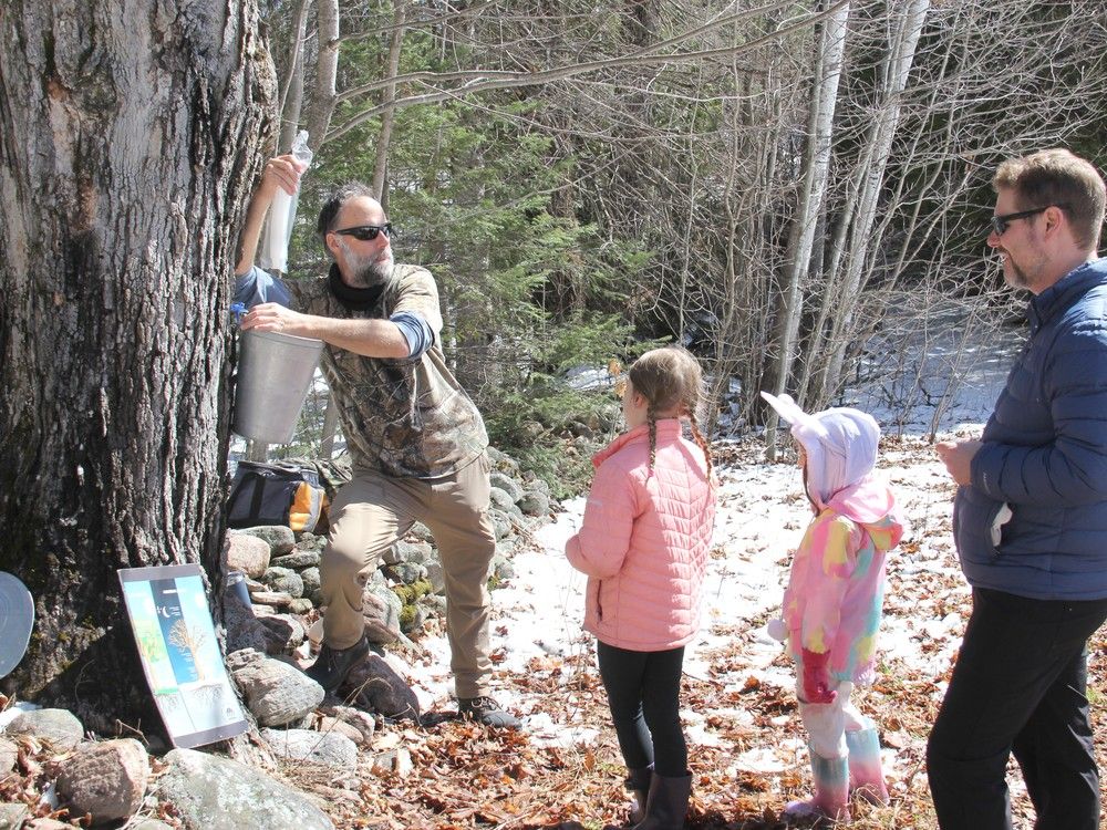 Mapleside's Maple Weekend heralded the arrival of spring in the Ottawa ...