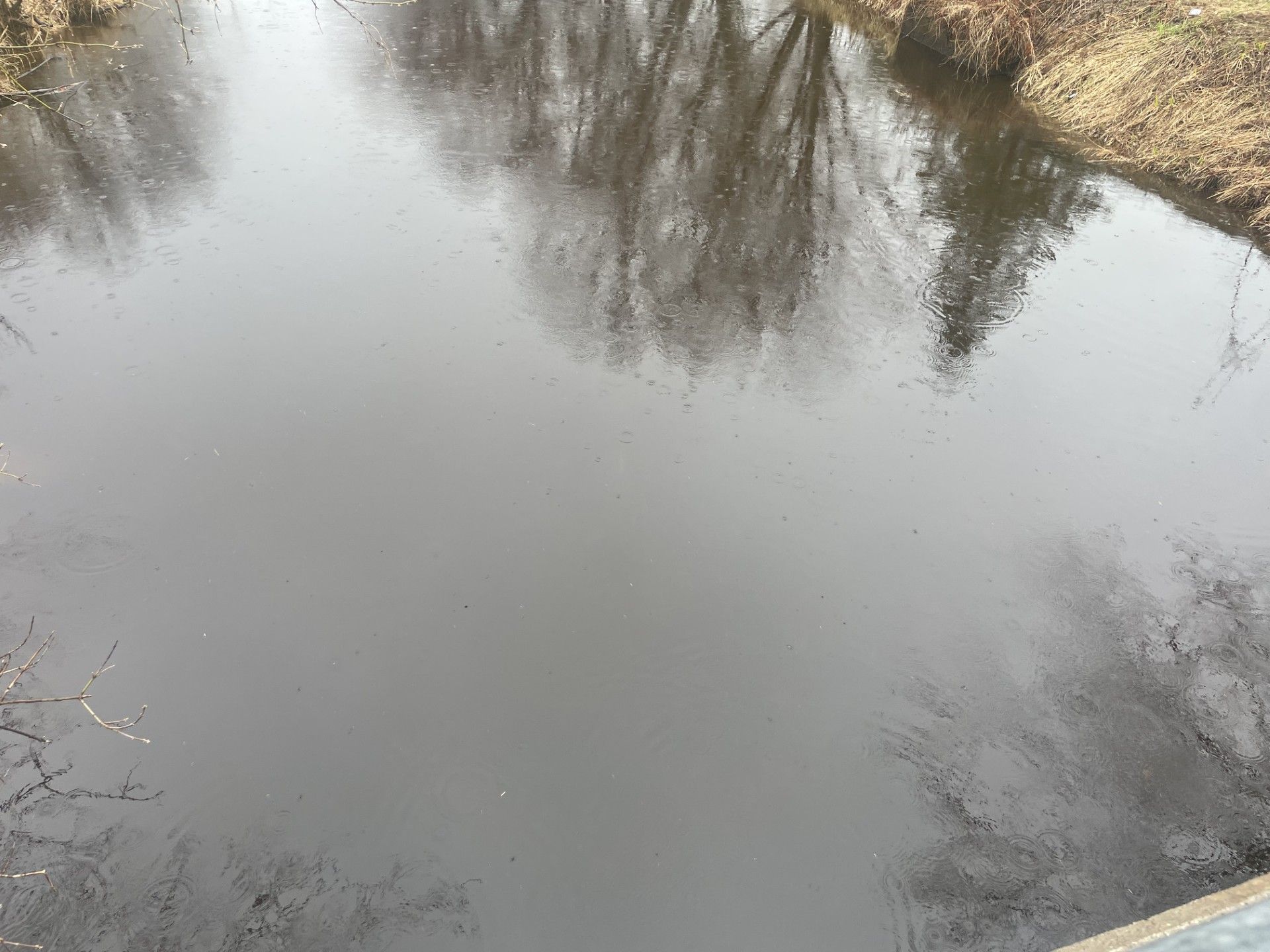 Sault area flood risk as heavy rains, thunderstorms expected | Sault Star