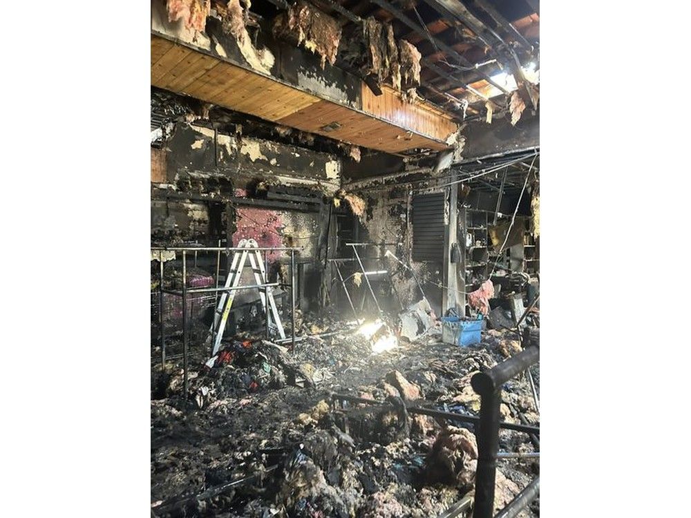 Investigators probe cause of fire at Hanwell Road plaza | Telegraph-Journal