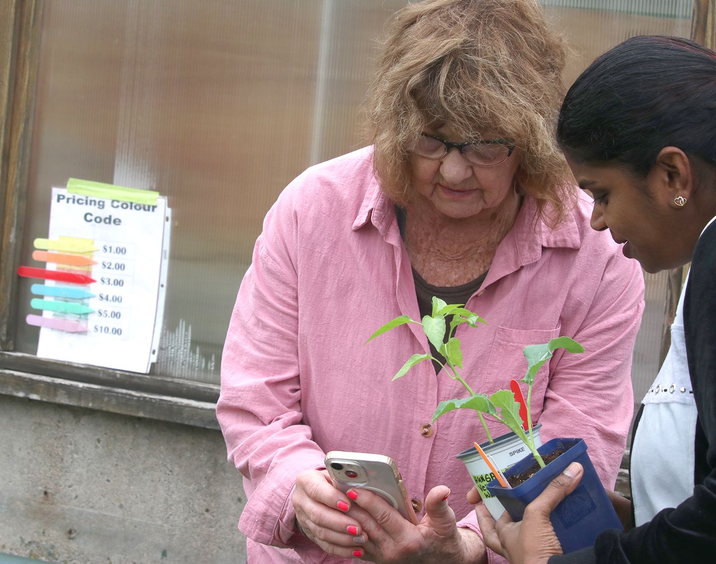 Plant sales blossom at canal: GALLERY | Sault Star