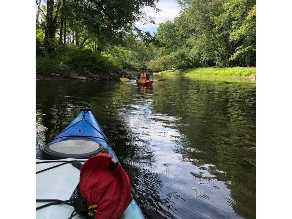 City installing nine new river access points this year | Telegraph-Journal