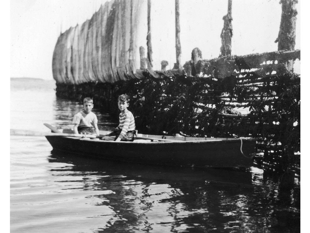 Backyard History: The song of the Old Sow | Telegraph-Journal