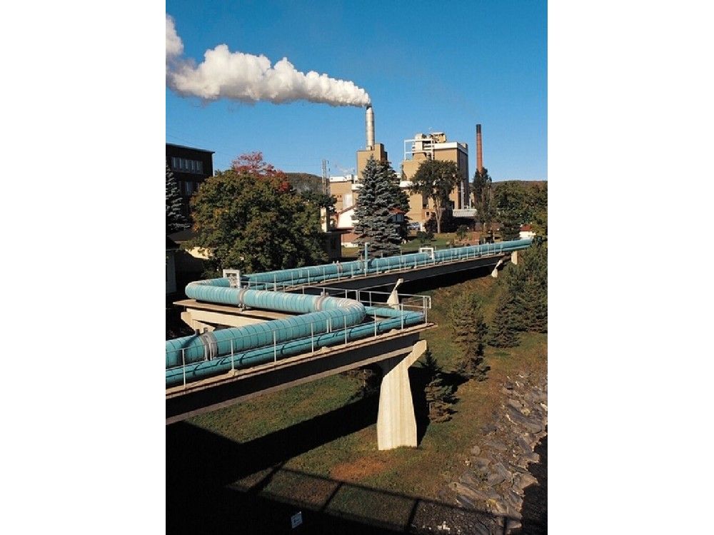 Pulp and paper mill fined $250K for leak into river | Telegraph-Journal