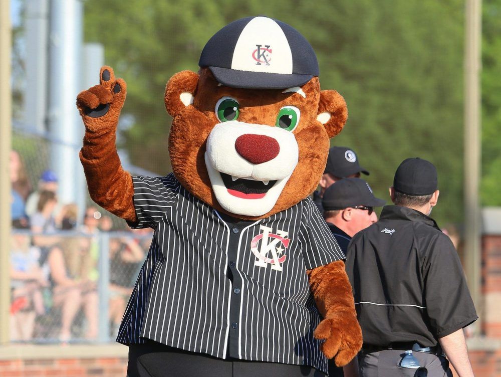 Chatham-Kent Barnstormers win Intercounty Baseball League debut ...