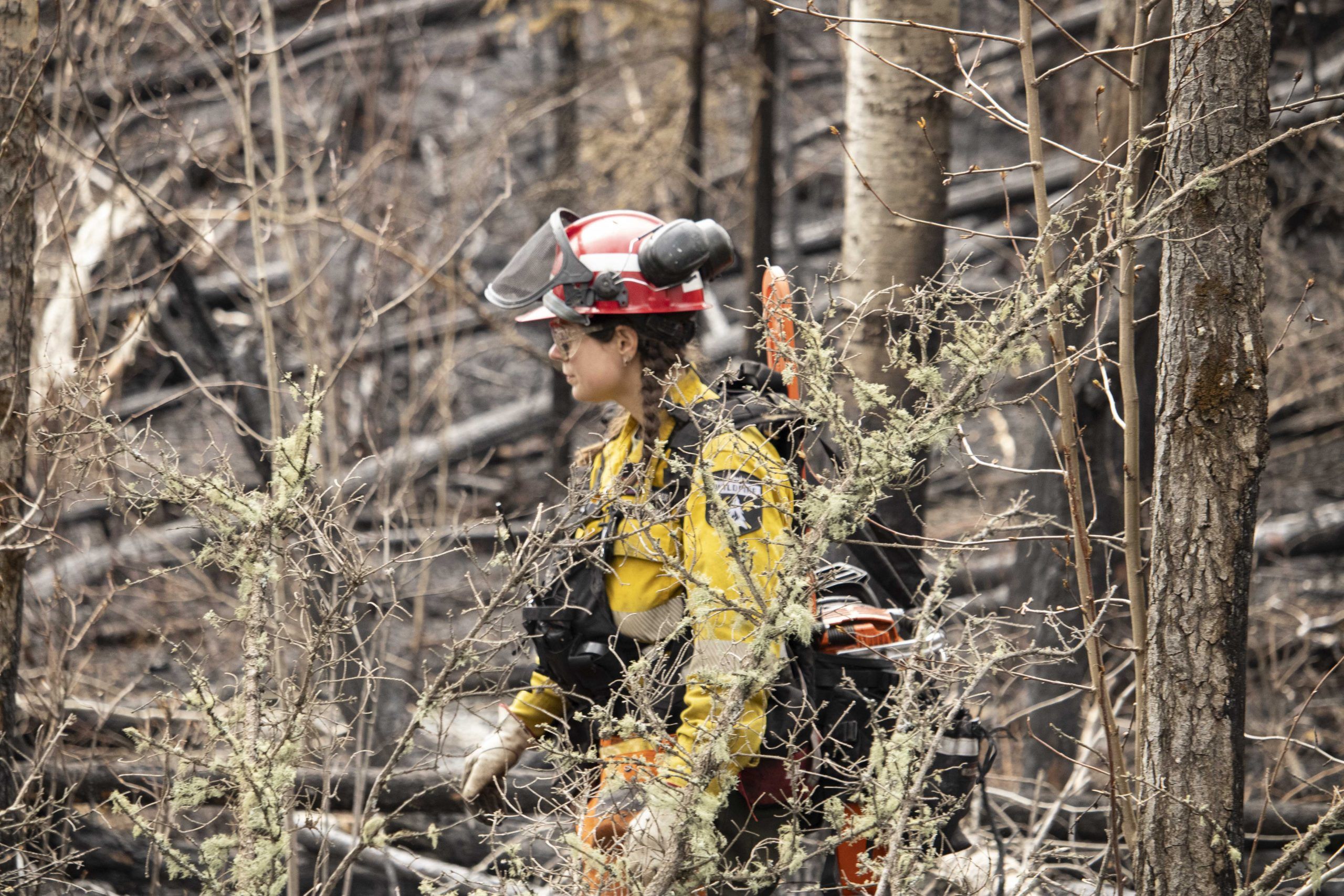 Wildland firefighters patrol charred forests near Fort McMurray | Fort ...