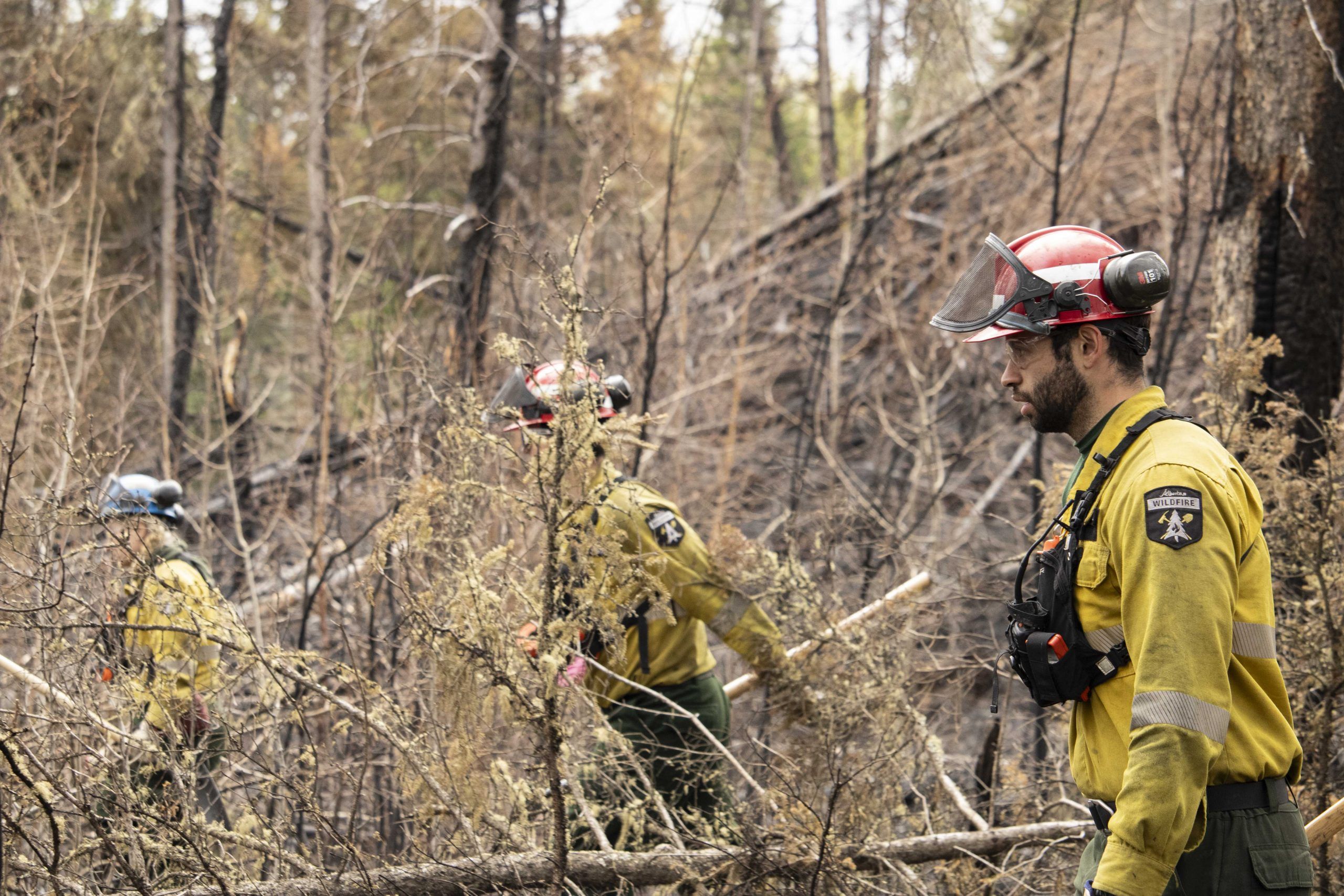 Wildland firefighters patrol charred forests near Fort McMurray | Fort ...