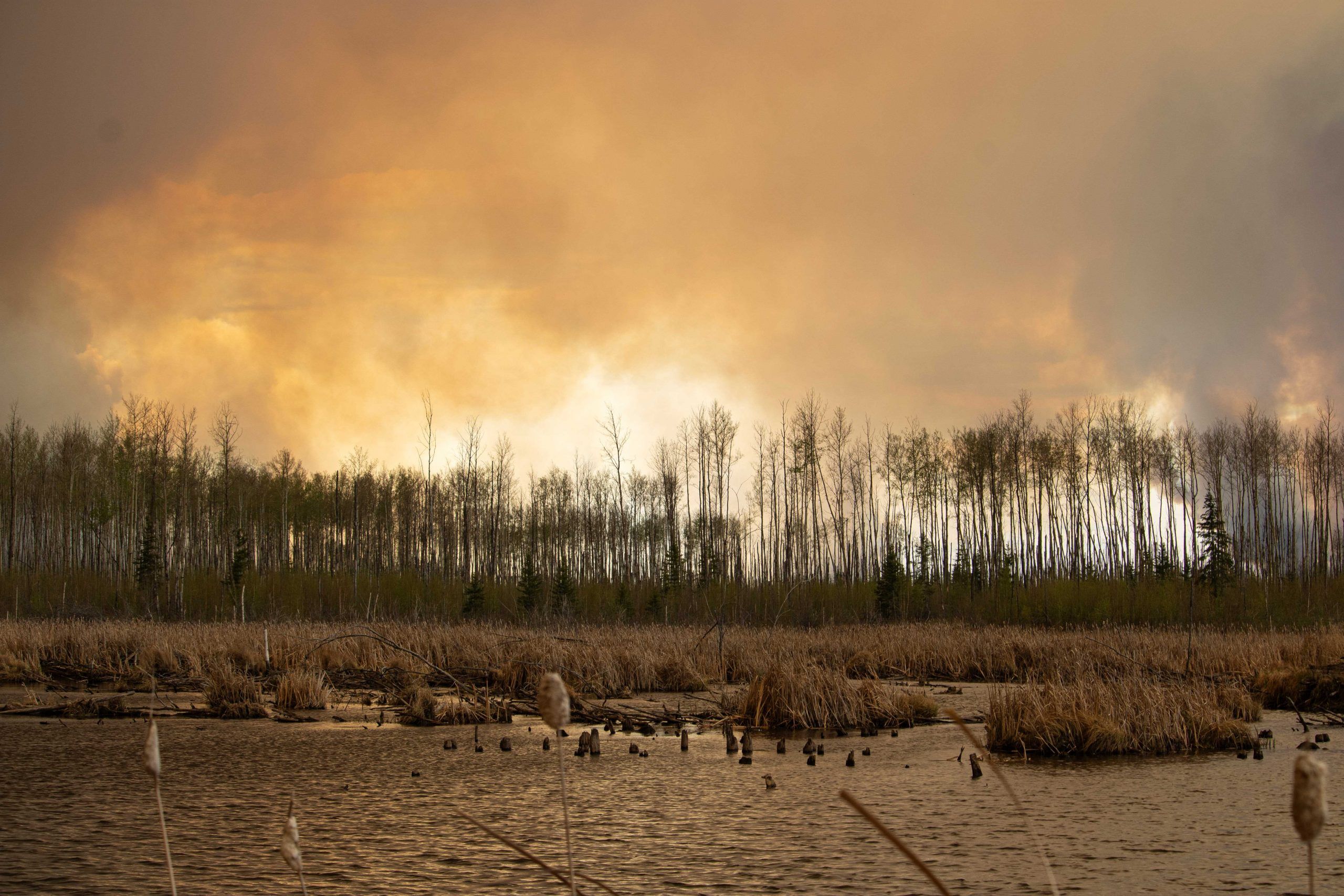 Home | Nipawin Journal