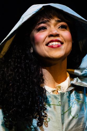 Something Rotten! The Bottoms, The Bard, their friends and rivals | The ...