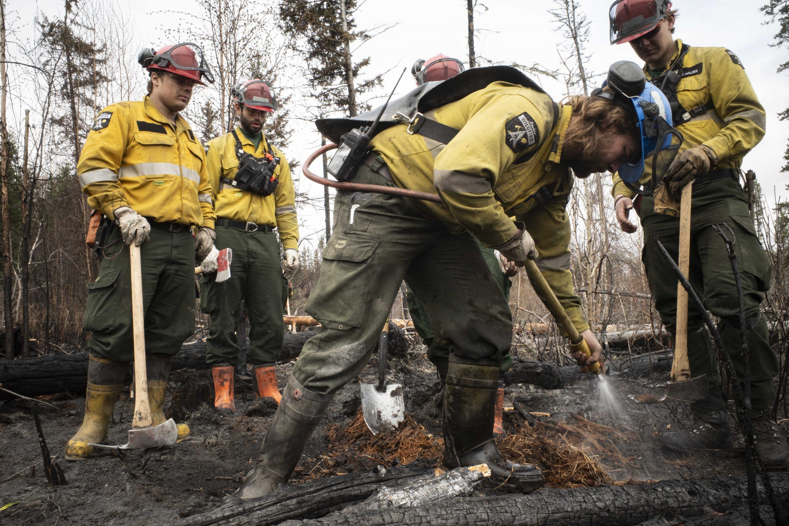 Wildland firefighters patrol charred forests near Fort McMurray | Fort ...