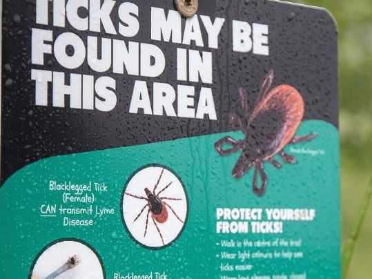 Health unit reminds public to protect against ticks | The Daily Press