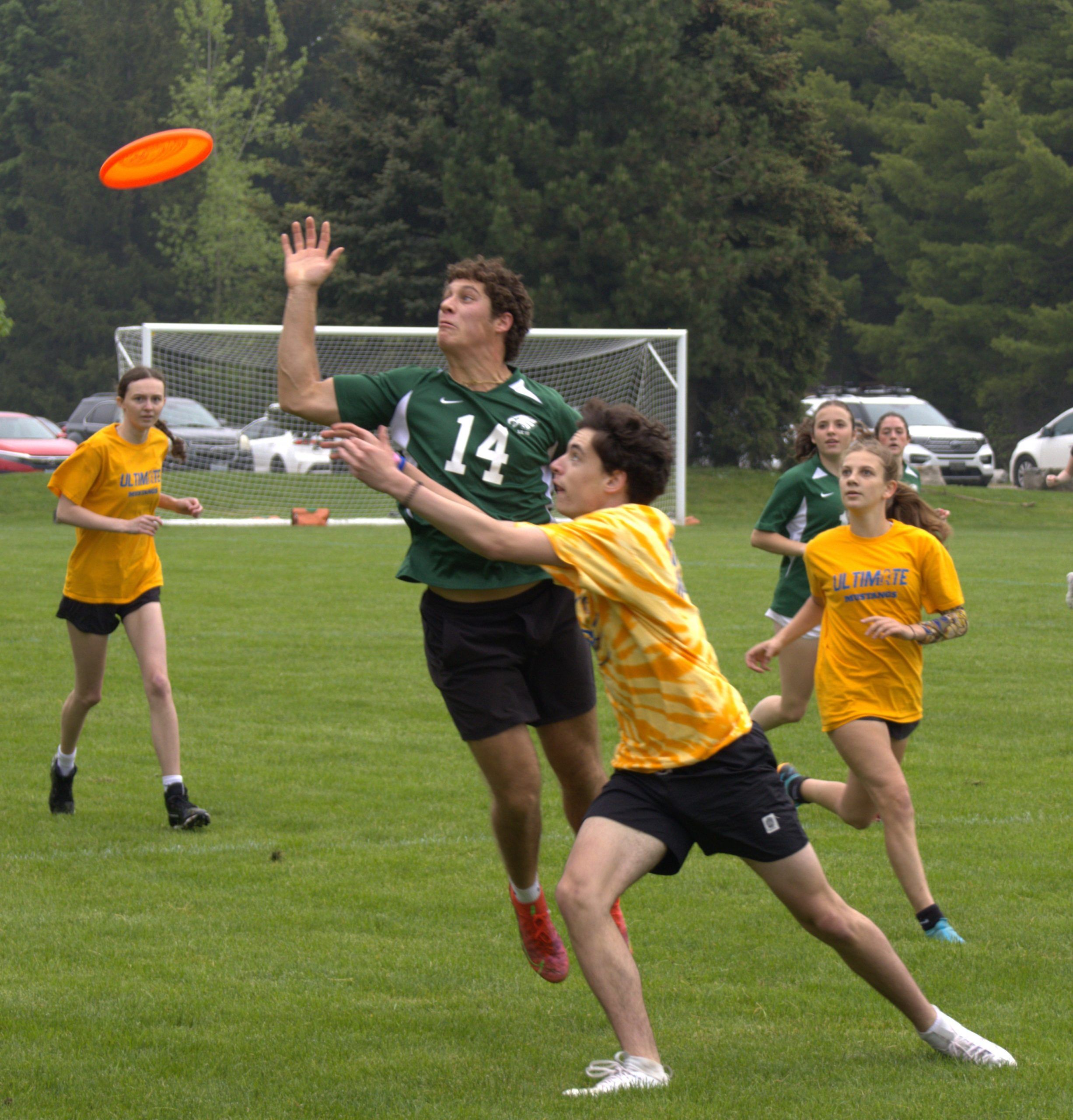 North Park wins ultimate frisbee championship | Brantford Expositor
