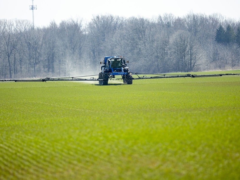 Crops | Ontario Farmer