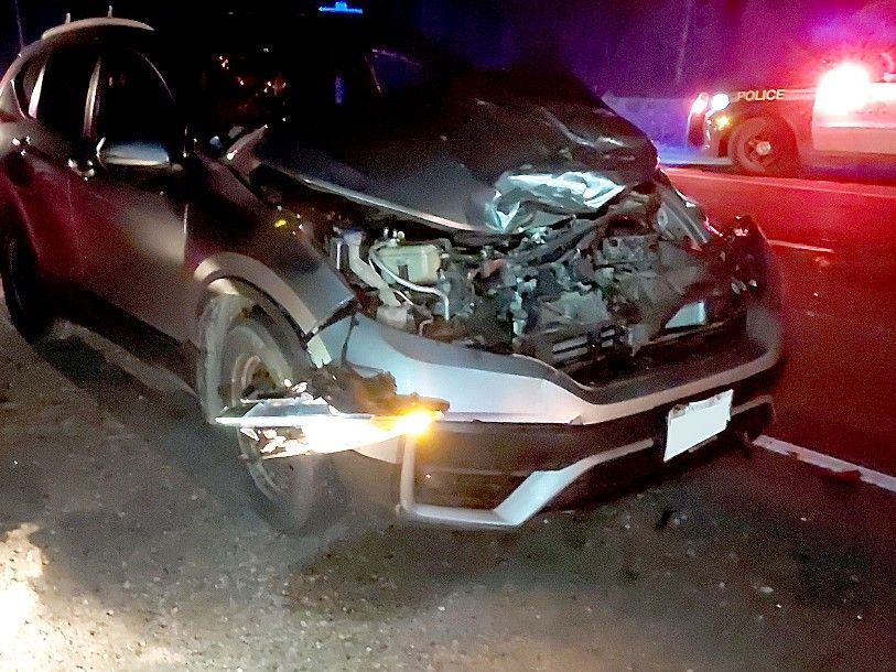 Moose dies in collision with vehicle on highway near Cochrane | The ...