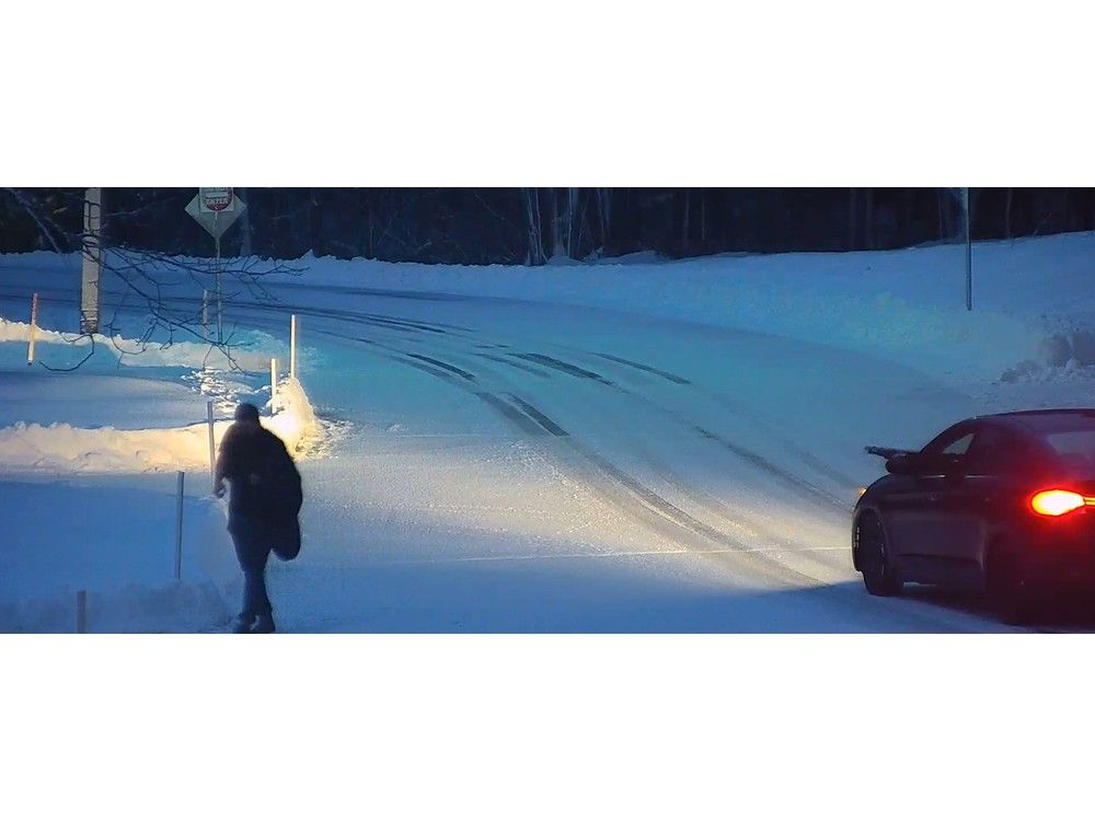 Cop arrested NB shooting suspect at gunpoint in NS | Telegraph-Journal