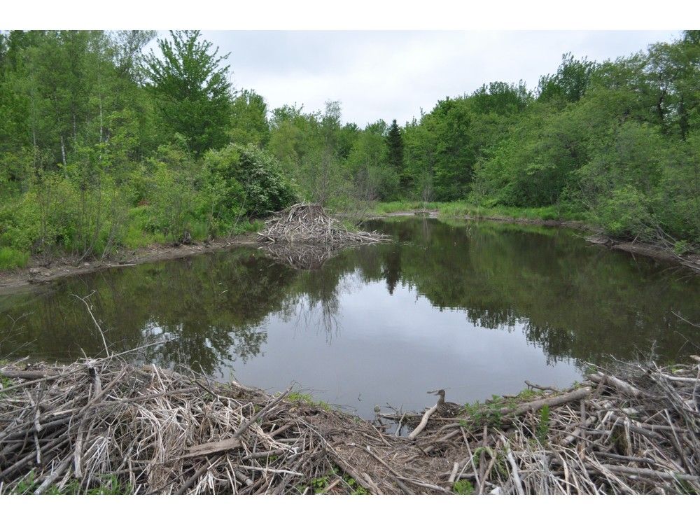 City continues to monitor AIM's Moncton scrapyard | Telegraph-Journal