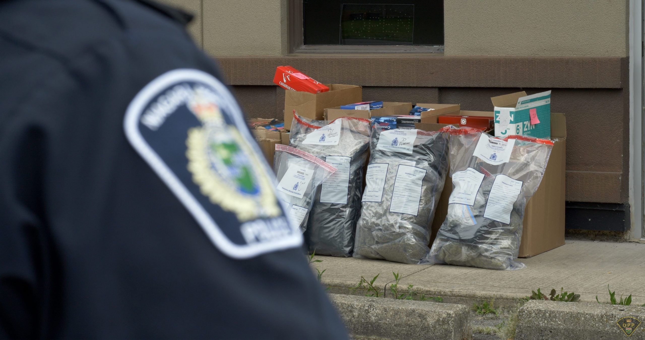 Six illegal cannabis storefronts have been closed | North Bay Nugget