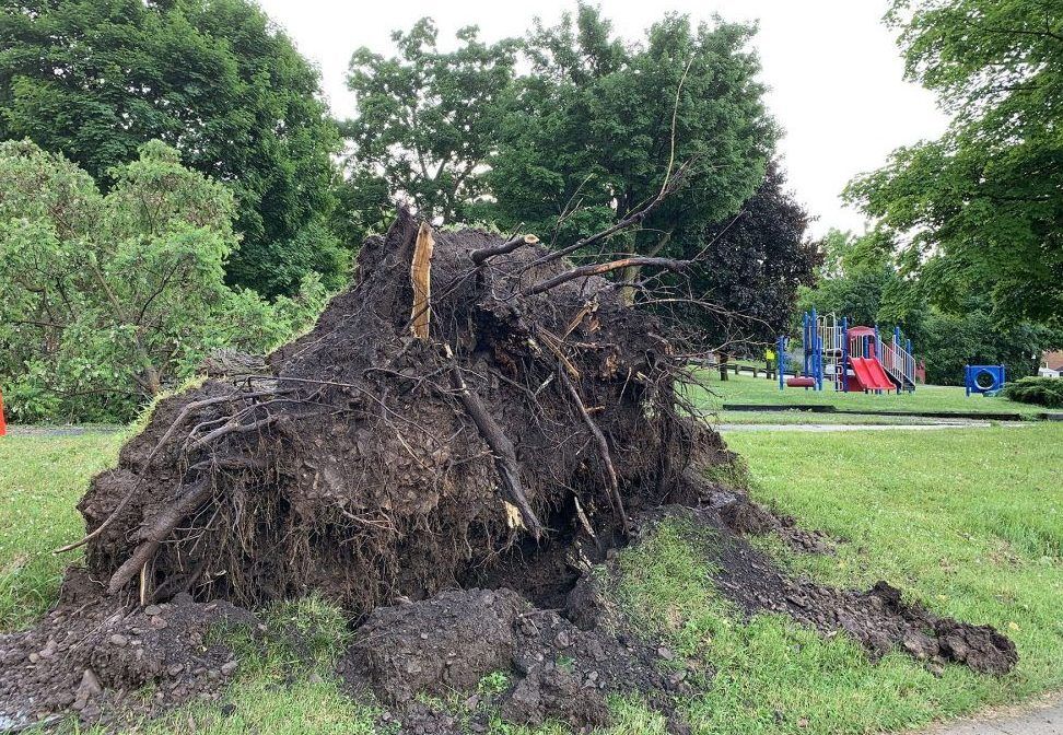 Storm hits Owen Sound, downing trees, power lines | Owen Sound Sun Times