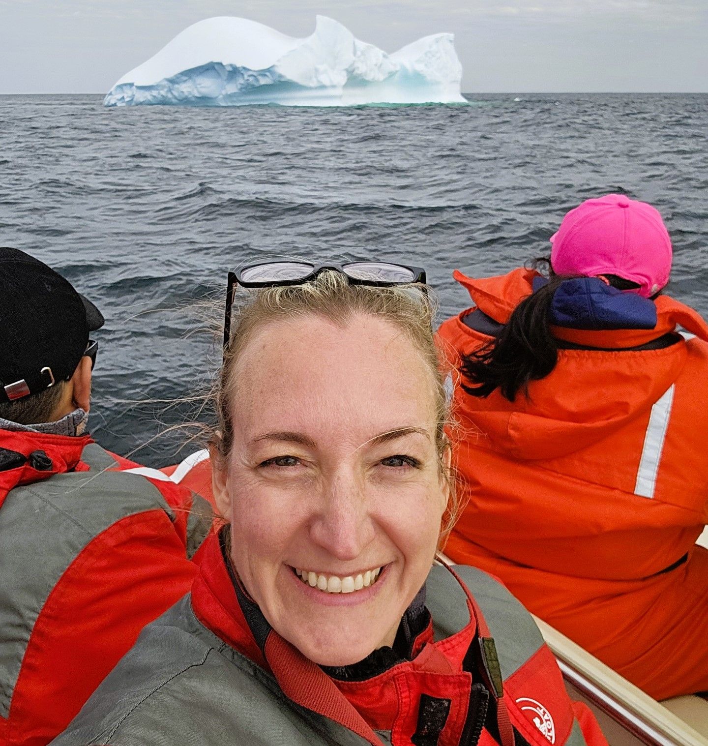 First glimpse of ‘impressive spiky iceberg’ frozen in the memory bank ...
