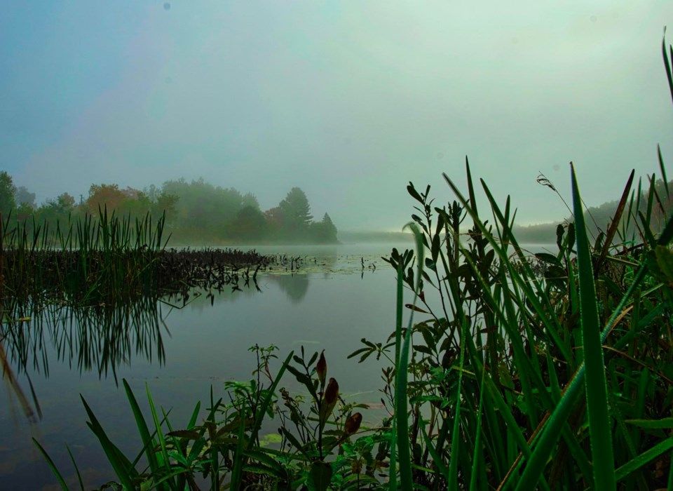 Resident worries ‘extremist’ views forged Bonfield’s new rental by-law ...