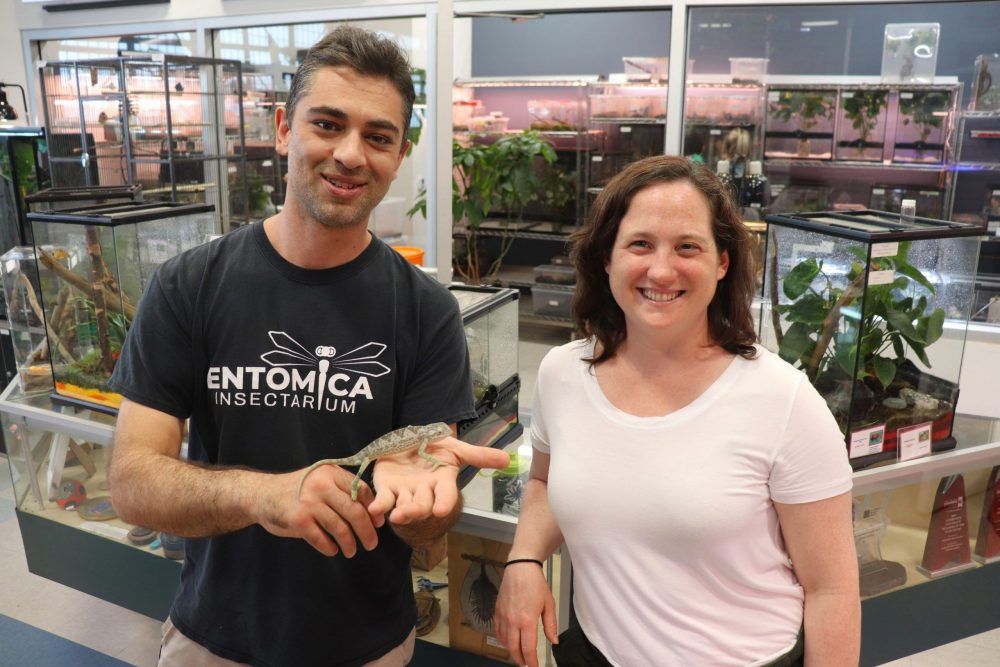 Entomica turning over a new leaf | Sault Star