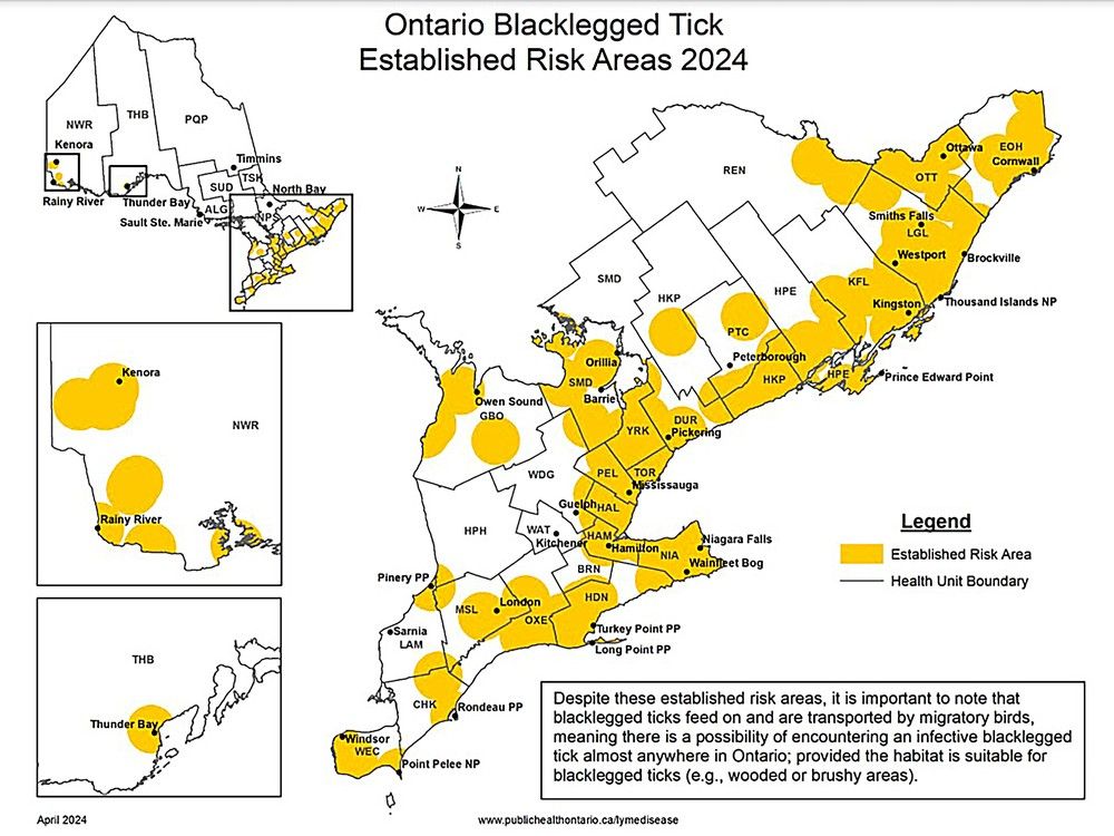 New risk area in Chatham-Kent for blacklegged ticks | Chatham Daily News