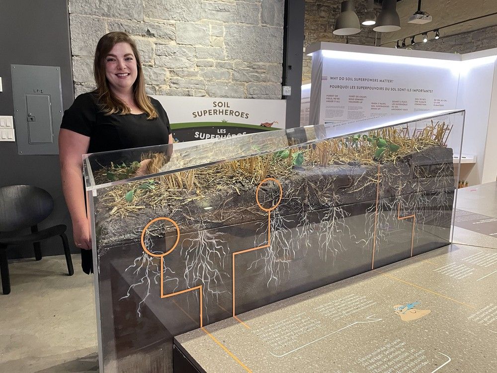 'Soil Superheroes' on display in downtown Kingston | The Kingston Whig ...