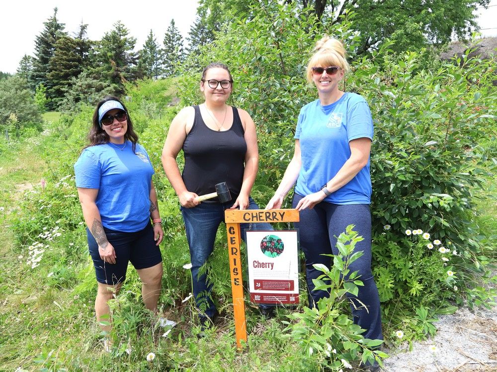 Signs encourage people to pick responsibly from Sudbury's food forests ...