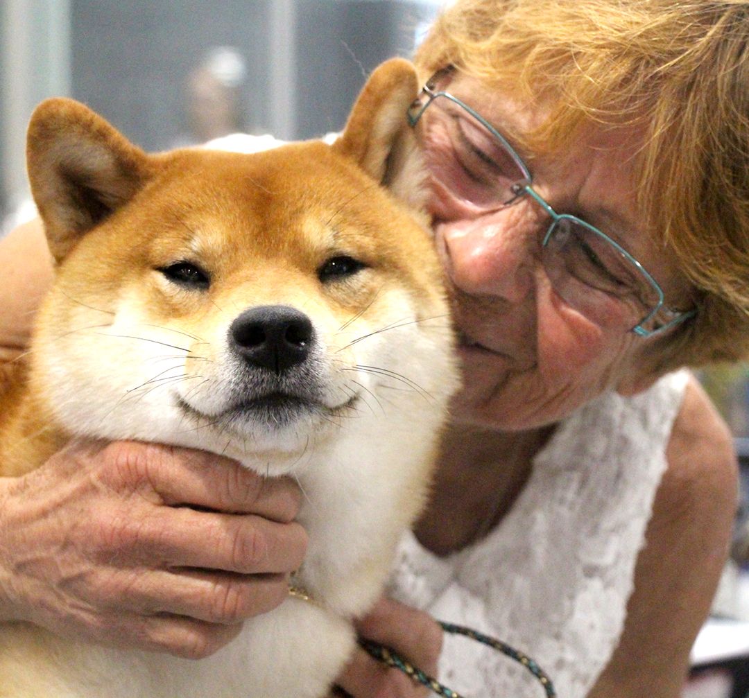 Canines vie for top-dog glory: GALLERY | Sault Star