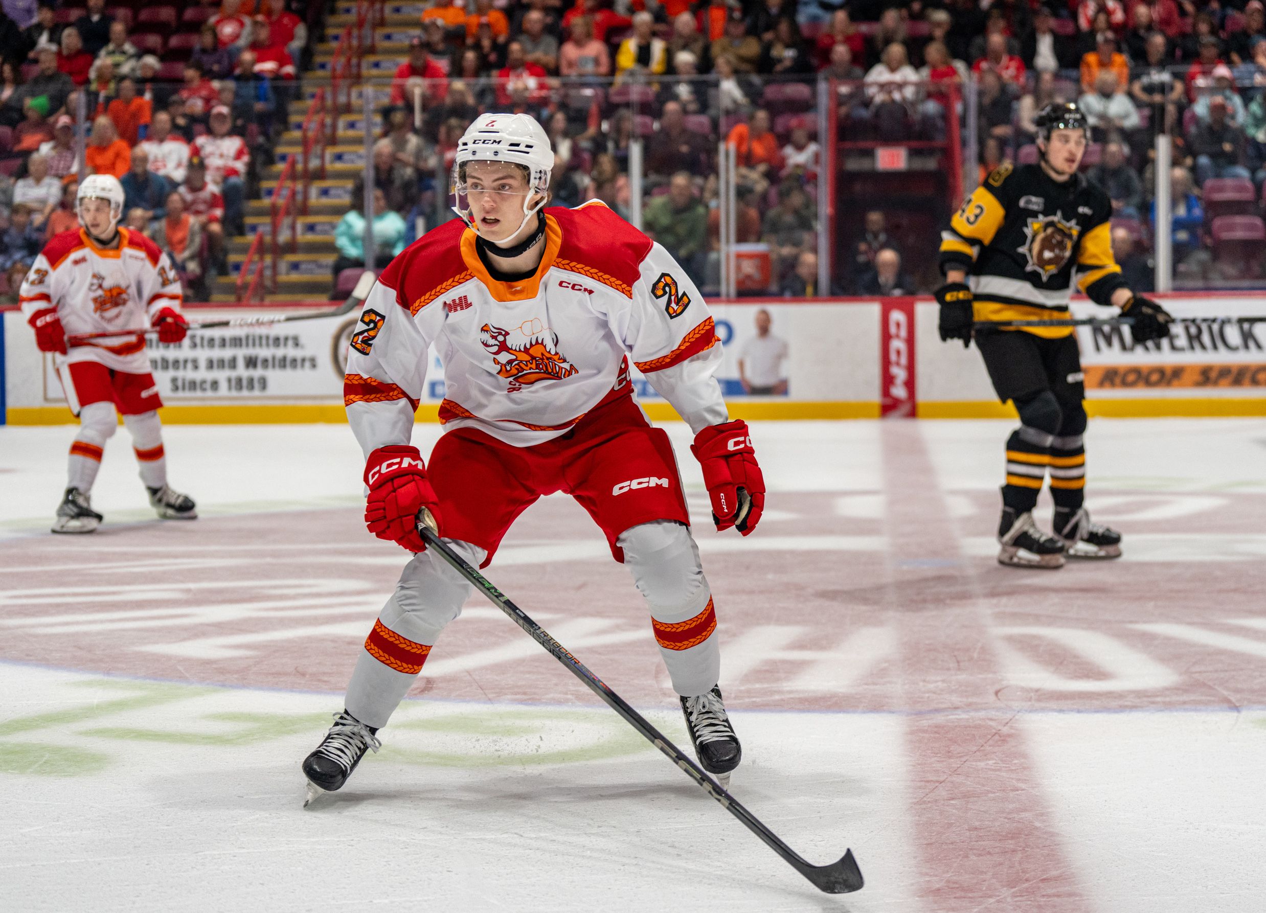 CHL Import draft takes place Wednesday, Soo Greyhounds have two picks ...