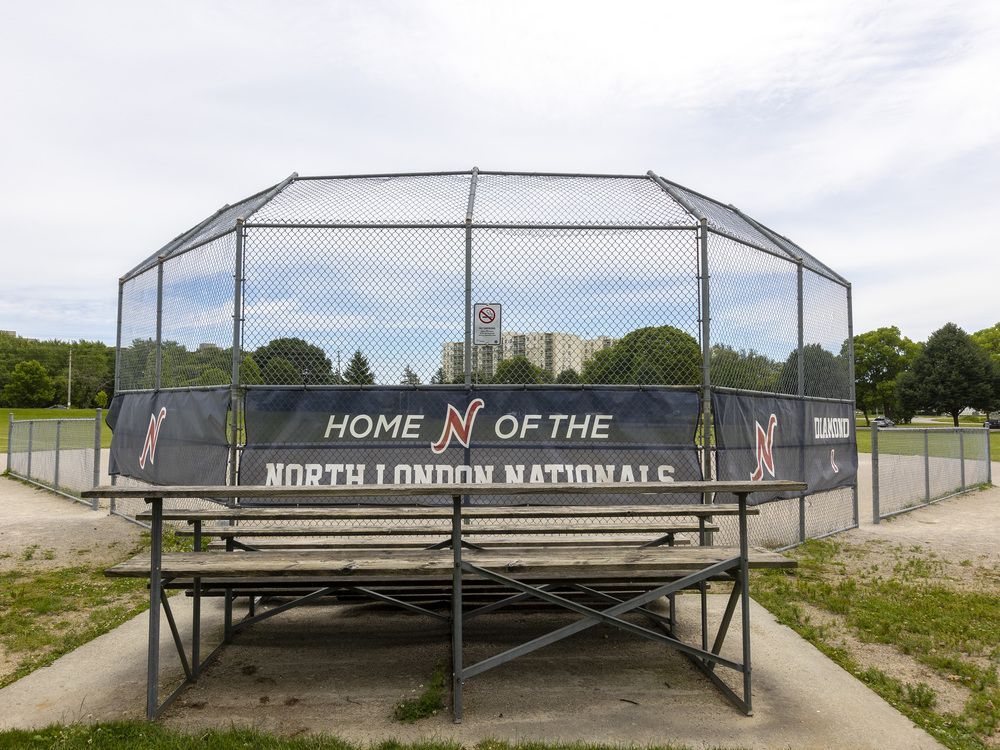London youth baseball league takes new step to screen out abusive ...