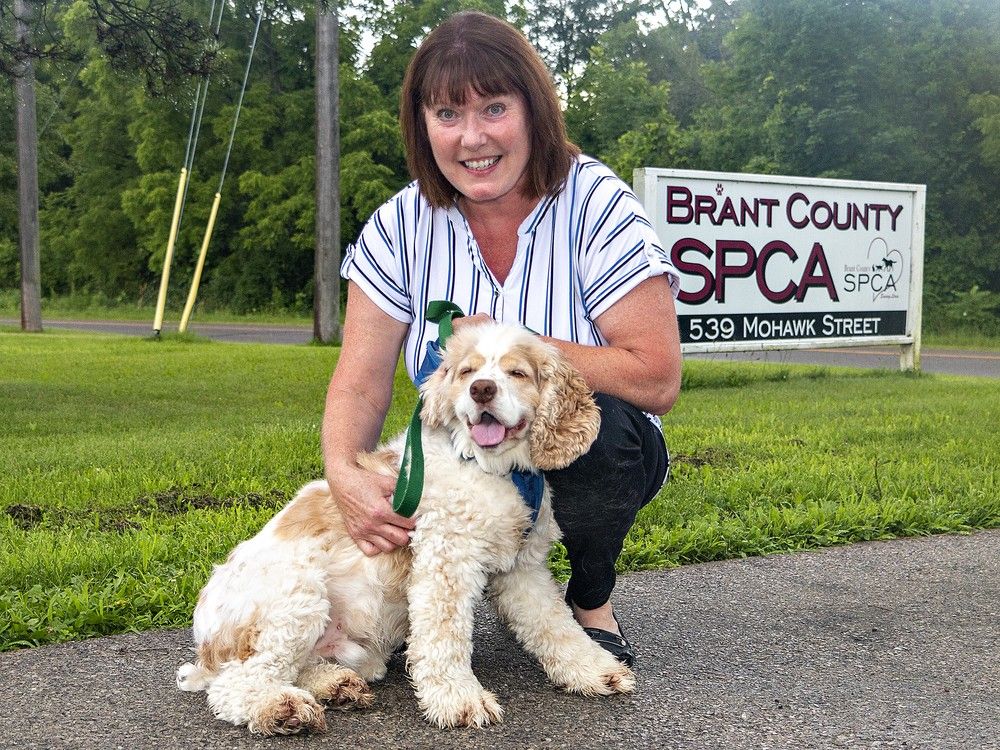 Kuchma proud of career as executive director at Brant County SPCA ...