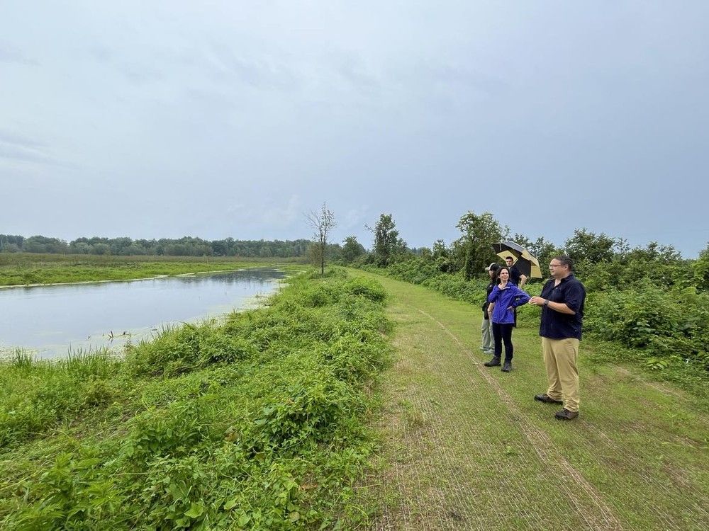 Cooper Marsh at full strength after restoration, trails reopen Friday ...
