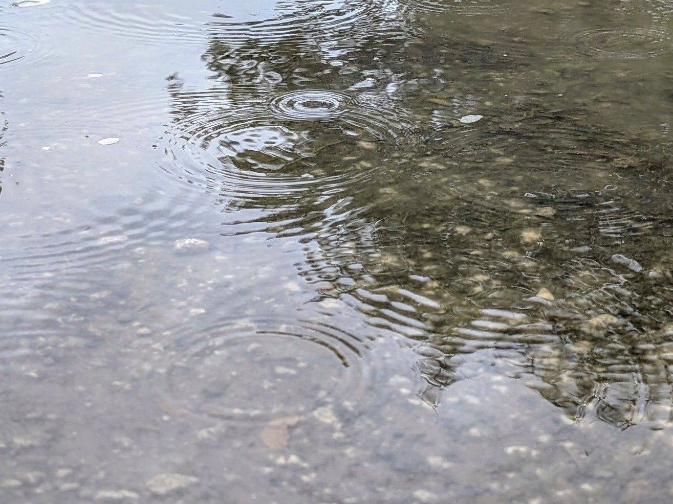 Conservation Authority Says Forecasted Rainfall Could Lead To Urban And